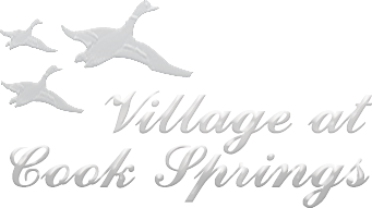Village at Cook Springs | Pell City, AL | Reviews | SeniorAdvisor